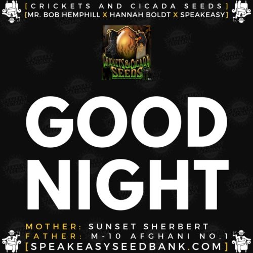 Good Night Strain (Seeds) • The Sun Has Gone To Bed. Goodnight!